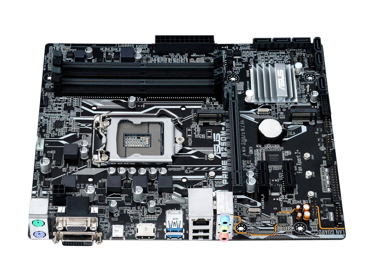 ASUS PRIME B250M-A LGA 1151 DDR4 HDMI DVI VGA M.2 B250 USB 3.1 Micro ...