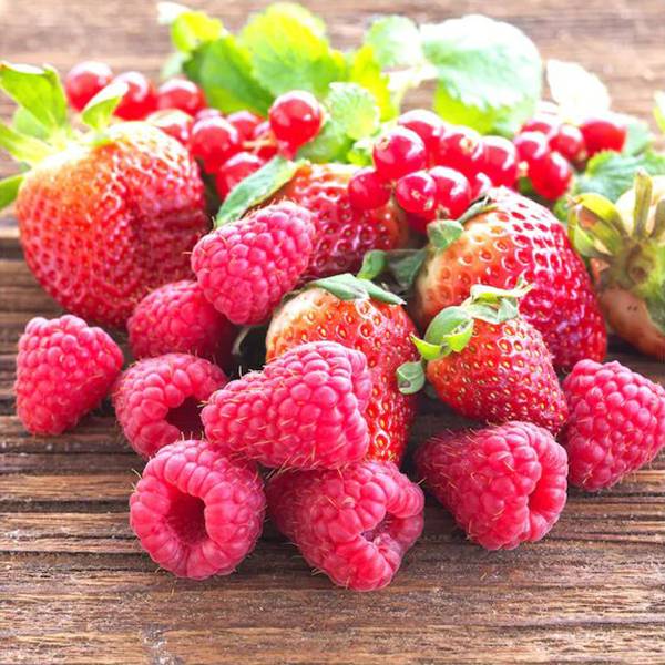 IKEA DOFTA Potpourri 60g Red Berries